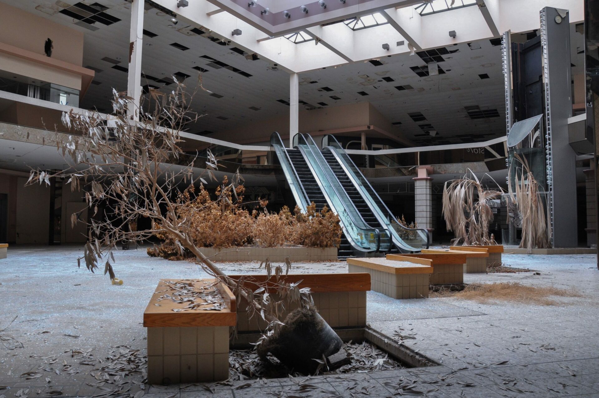 Retail apocalypse, perché in Italia non sarà la fine del mondo ...